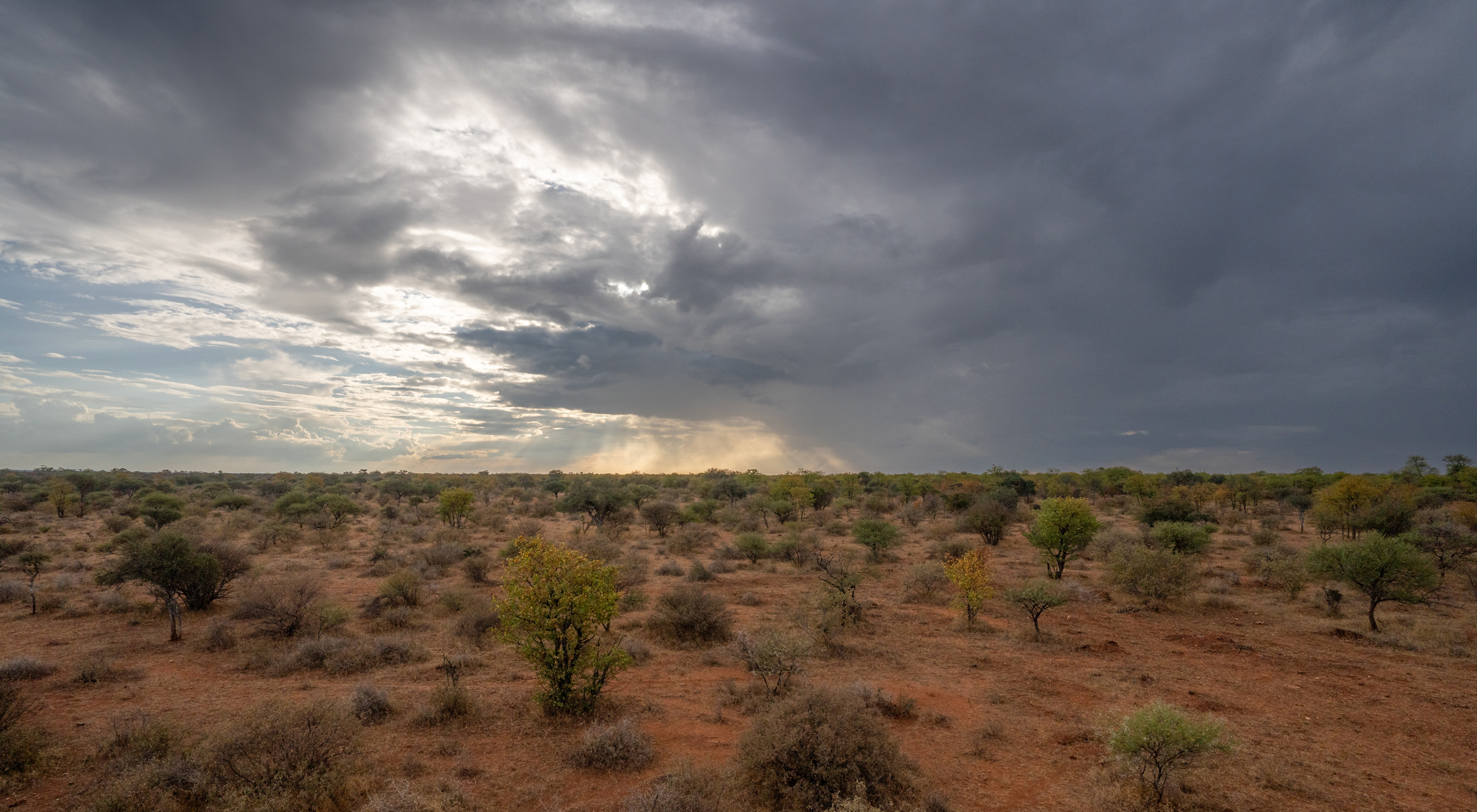 Climate Chart - Lotsane Signature Collection | 5 Star Lodge in Botswana